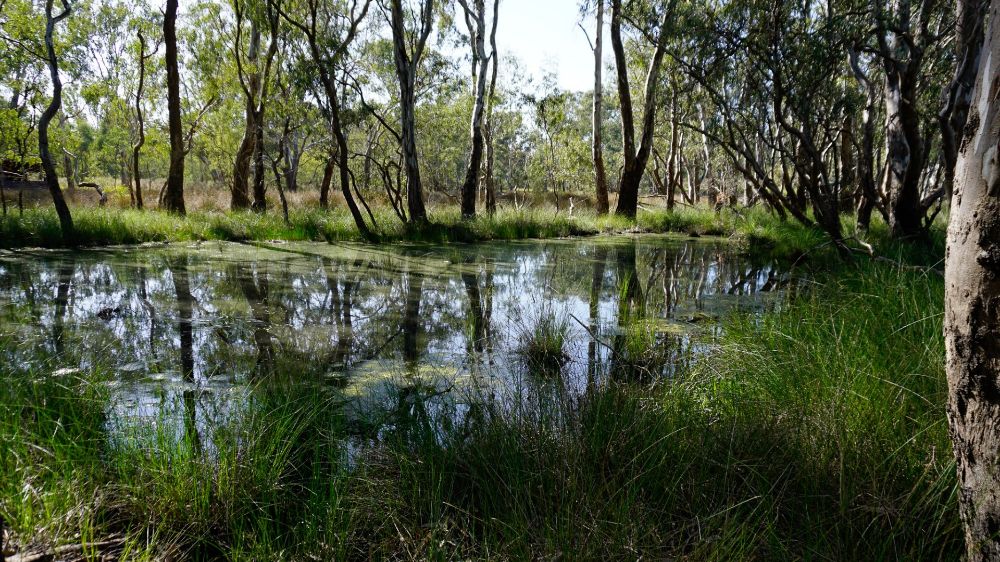 Our Story | Tahbilk Winery